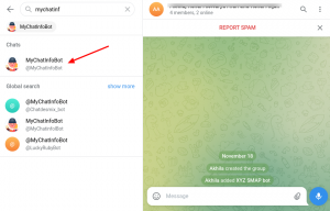 How Can I Generate a Telegram Bot Token and Retrieve Group ID or Channel ID? | XYZScripts Help